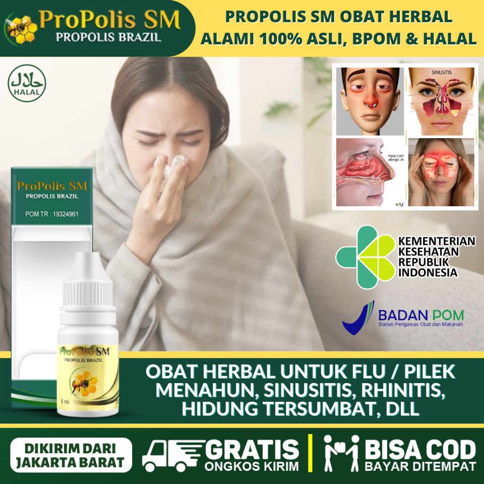 Obat Tetes Hidung Sinusitis Herbal 100% Asli, Hidung Berlendir, Hidung ...