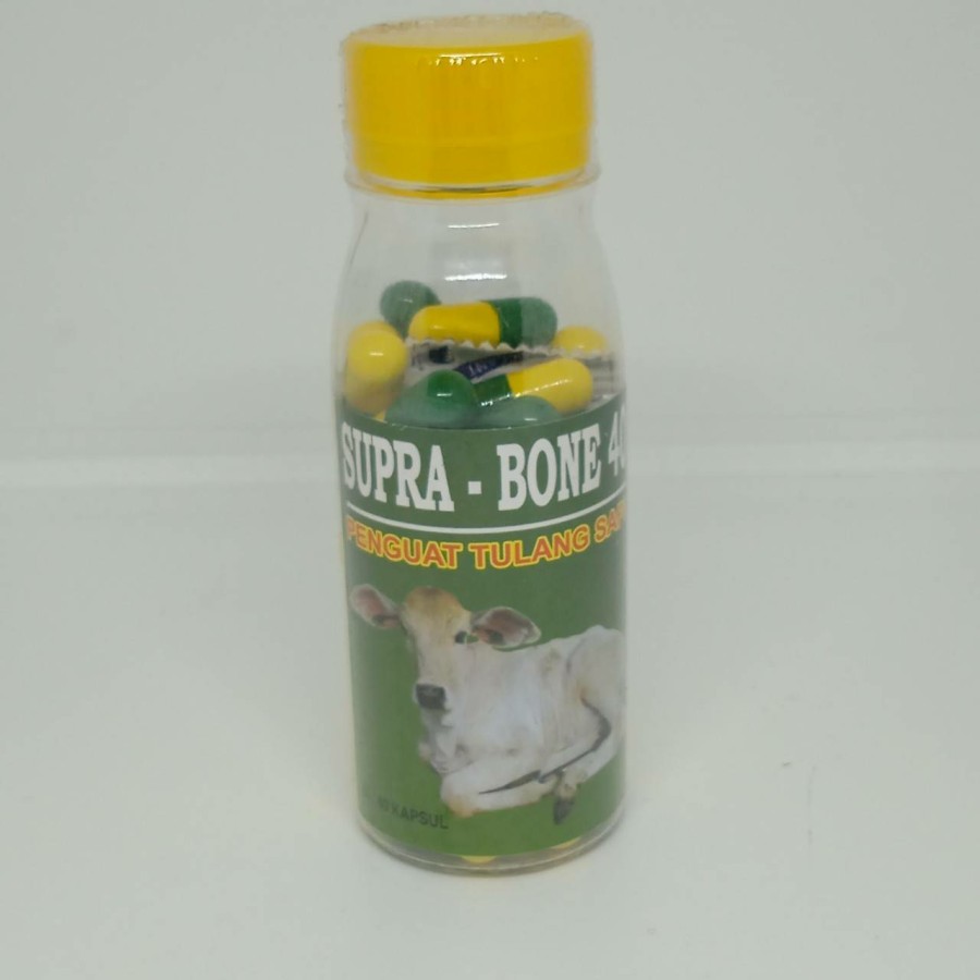 supra bone 40 isi 40 kapsul penguat tulang sapi kambing domba | Lazada ...