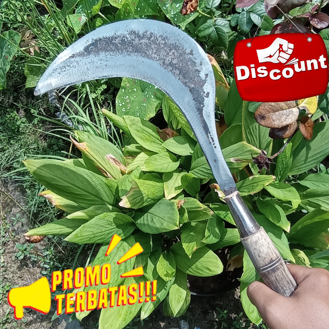 Sabit pengaritan rumput baja isen seper tajam-sabit pemotong rumput ...