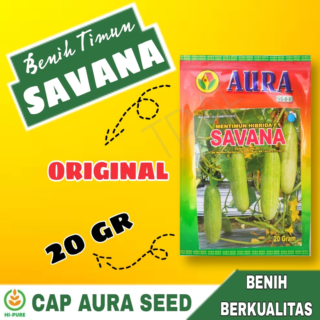 Benih Timun Hibrida SAVANA F1 Cap Aura Seed Isi 20 Gram | Lazada Indonesia