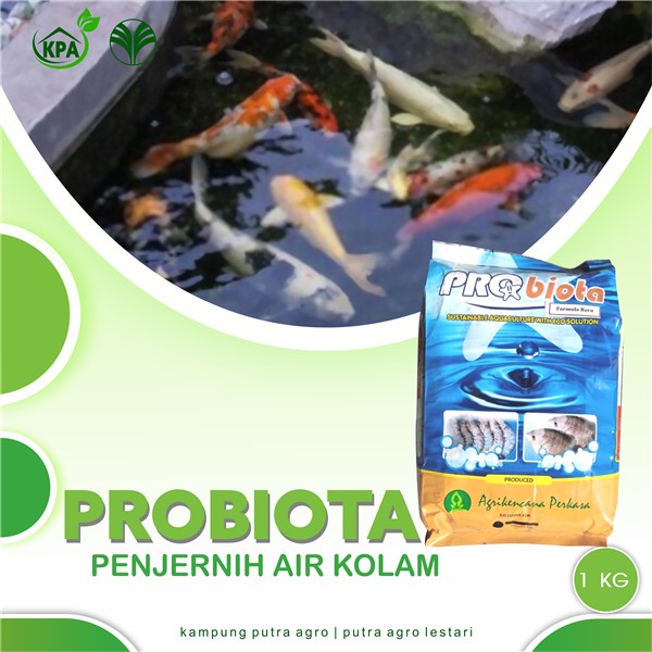 PROBIOTA - Probiotik penghilang bau amonia dan meningkatkan ...