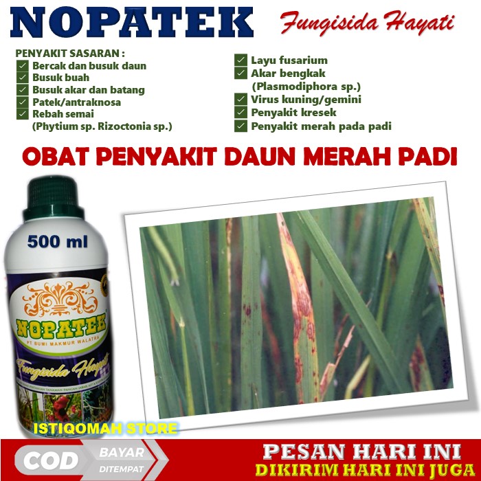 Obat Semprot Padi Mati Pucuk Daun Kuning NOPATEK 500ML Fungisida Hayati ...