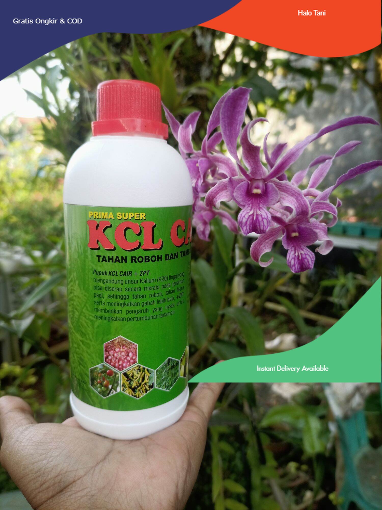 Pupuk Bunga dan Buah KCl Cair Prima Super 500 ml | Lazada Indonesia