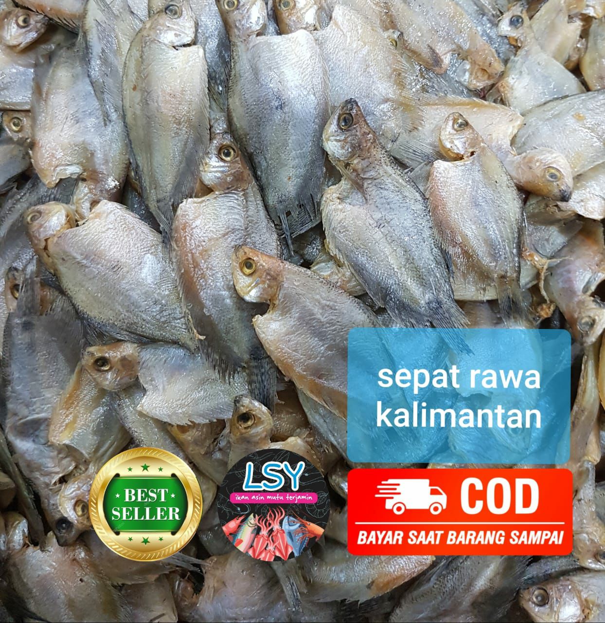 ikan asin sepat rawa 500gr | Lazada Indonesia