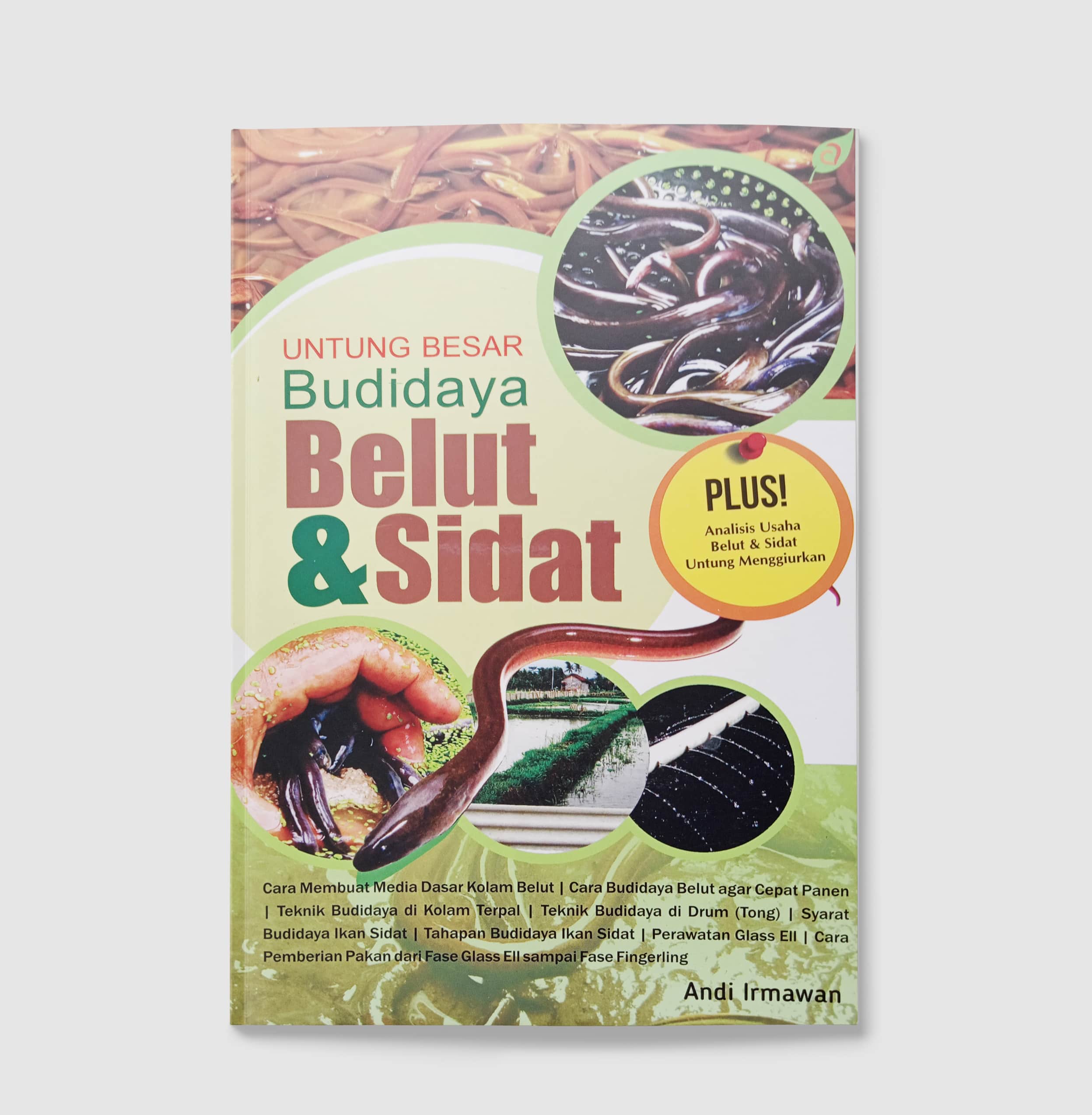 UNTUNG BESAR BUDIDAYA BELUT & SIDAT | Lazada Indonesia UNTUNG BESAR BUDIDAYA BELUT & SIDAT | Lazada Indonesia