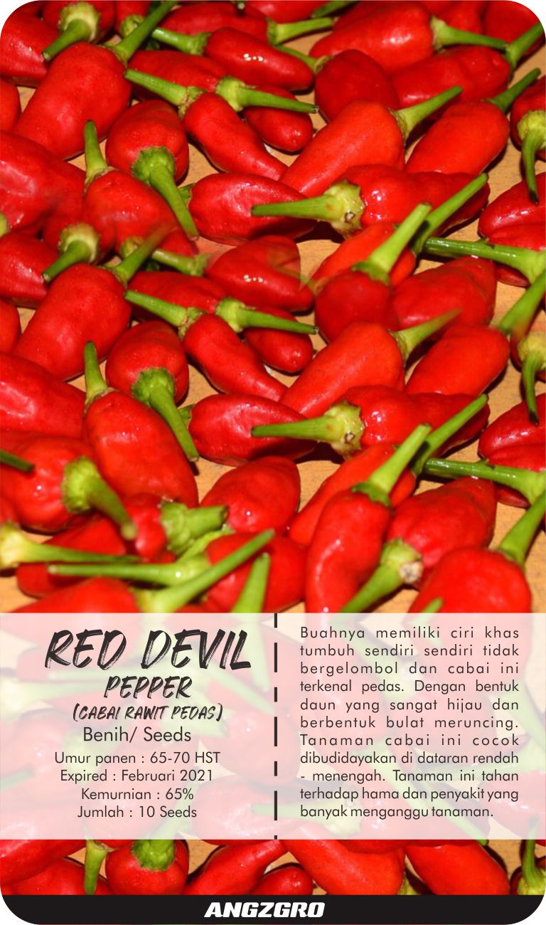 Benih Red Devil Pepper 10 Seeds | Lazada Indonesia