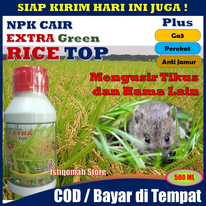 RICETOP 500ml Obat Pengusir Hama Tikus Di Sawah - Obat Pembasmi Hama ...