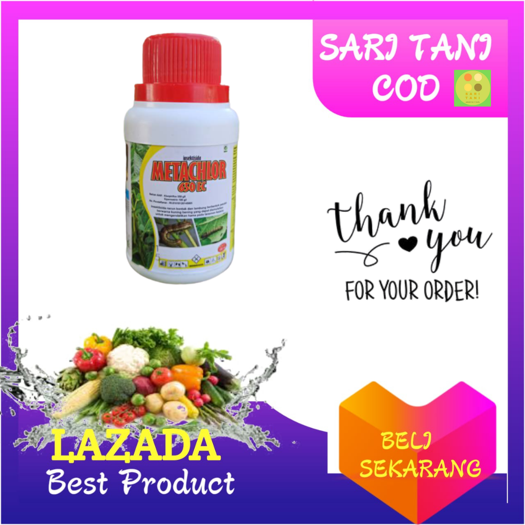 Insektisida Metachlor 650EC 100 ML | Lazada Indonesia