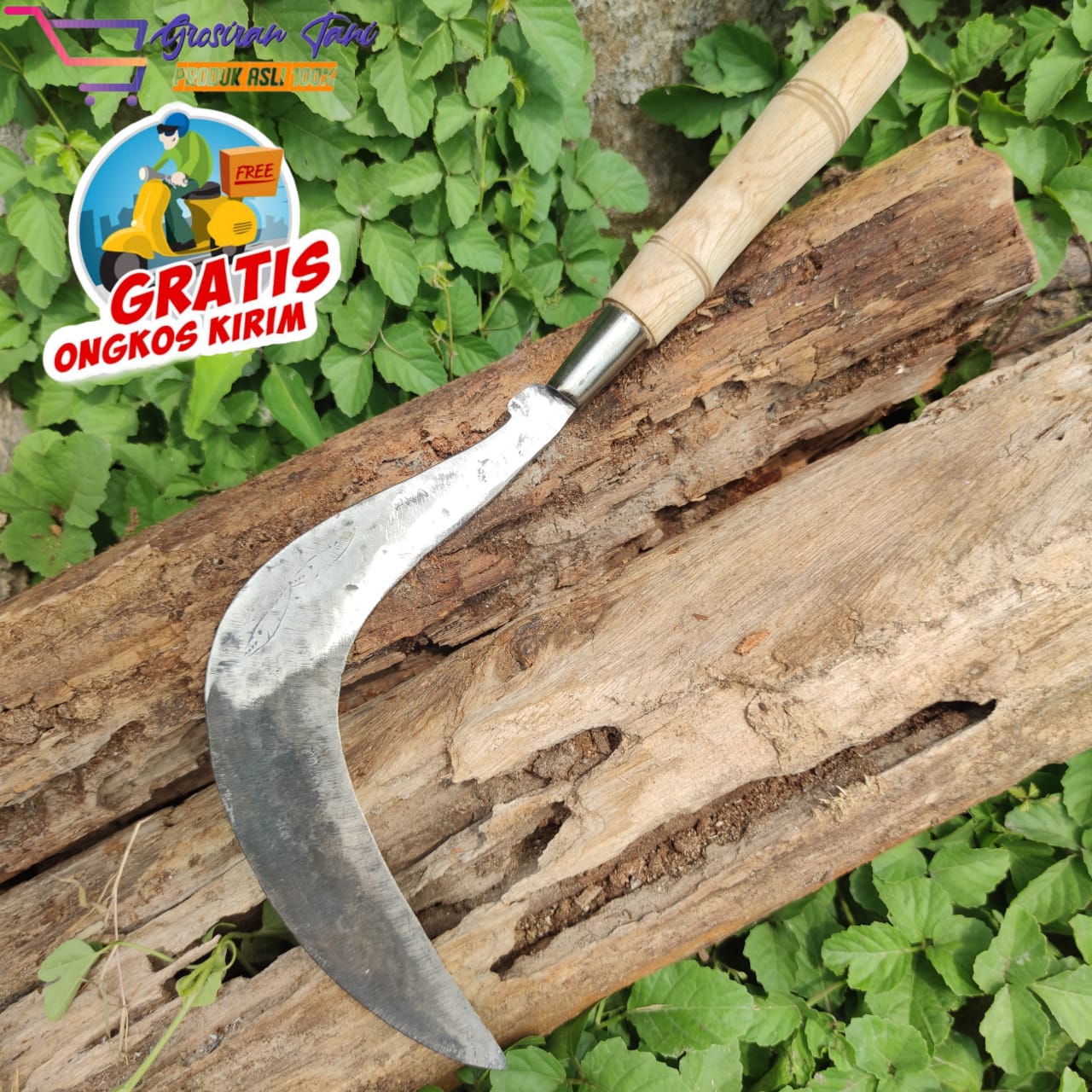 Sabit Rumput Bahan Baja Khas Madura Super Tajam - Arit Rumput Madura ...