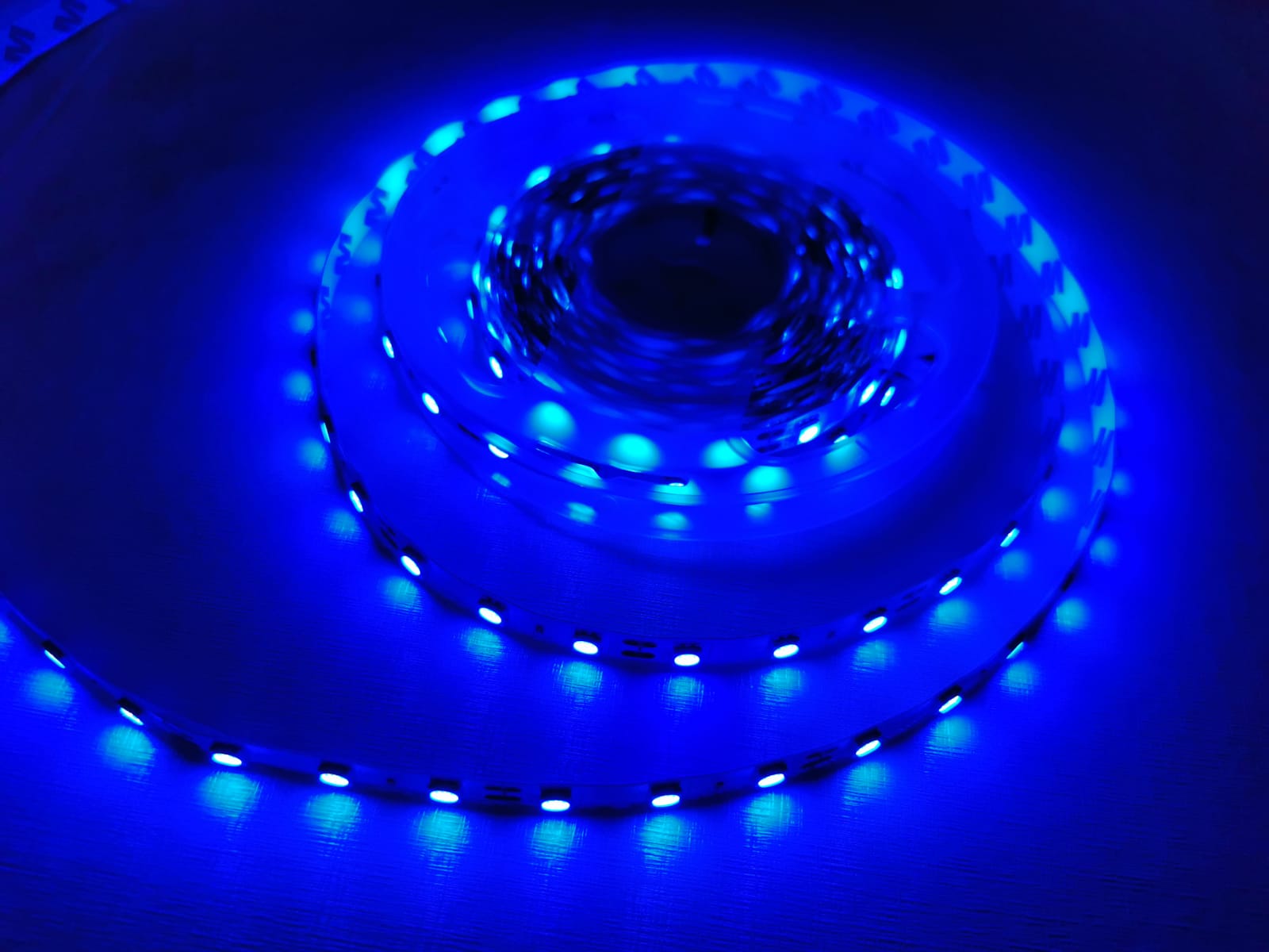 Led Strip 5050 IP33 - Putih, 5050 INDOR | Lazada Indonesia