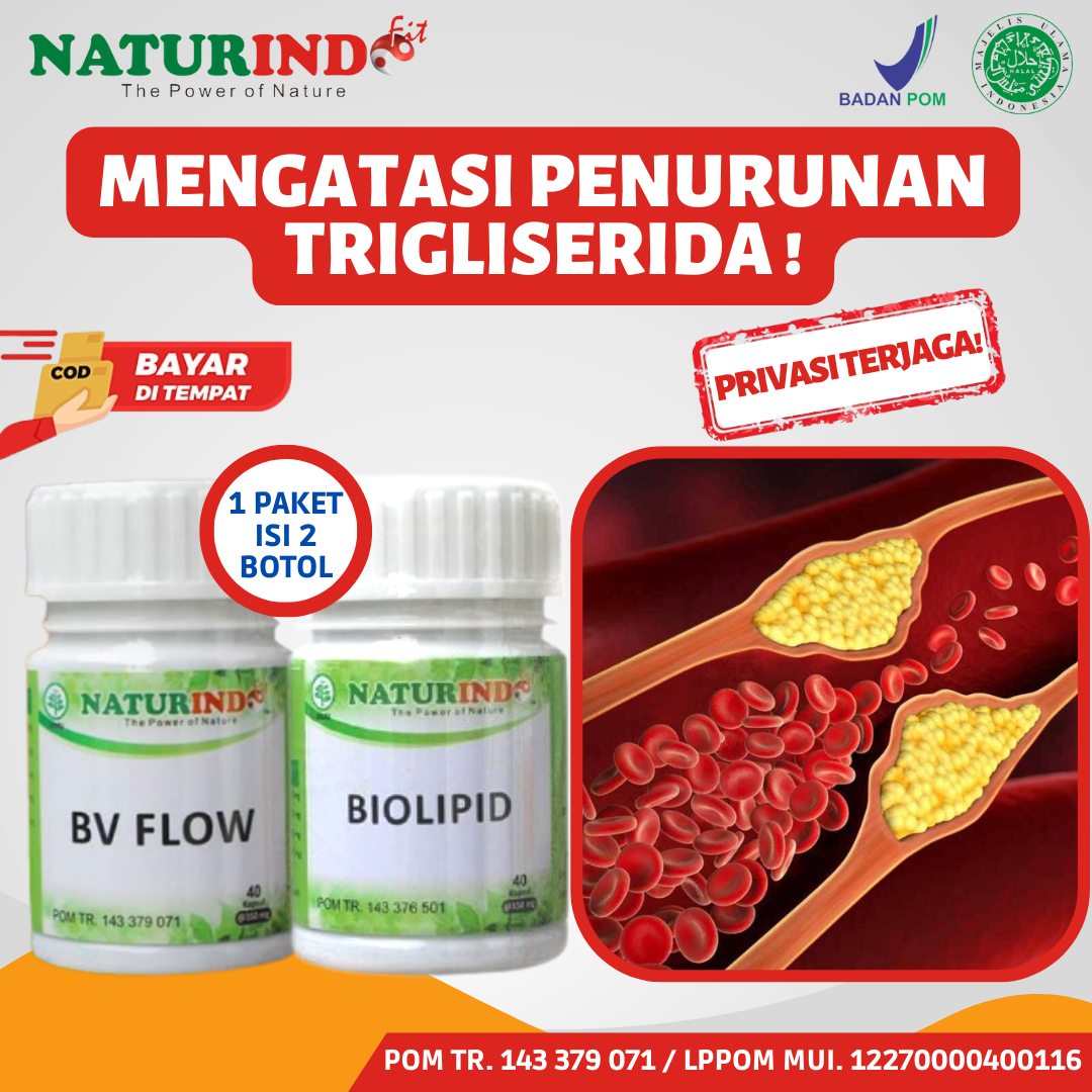Obat Herbal Penurun Kolestrol Tinggi Trigliserida Melancarkan Peredaran ...