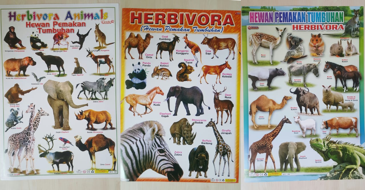 Poster Anak Belajar Aneka Binatang Hewan Herbivora | Lazada Indonesia Poster Anak Belajar Aneka Binatang Hewan Herbivora | Lazada Indonesia