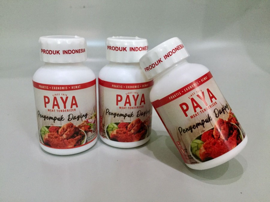 Pengempuk Daging Paya Meat Tenderizer 70g | Lazada Indonesia