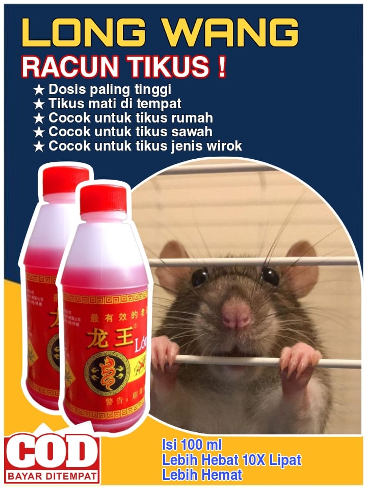 Longwang Cair Racun Tikus dan Babi Hutan Celeng Pasti Mati | Lazada ...
