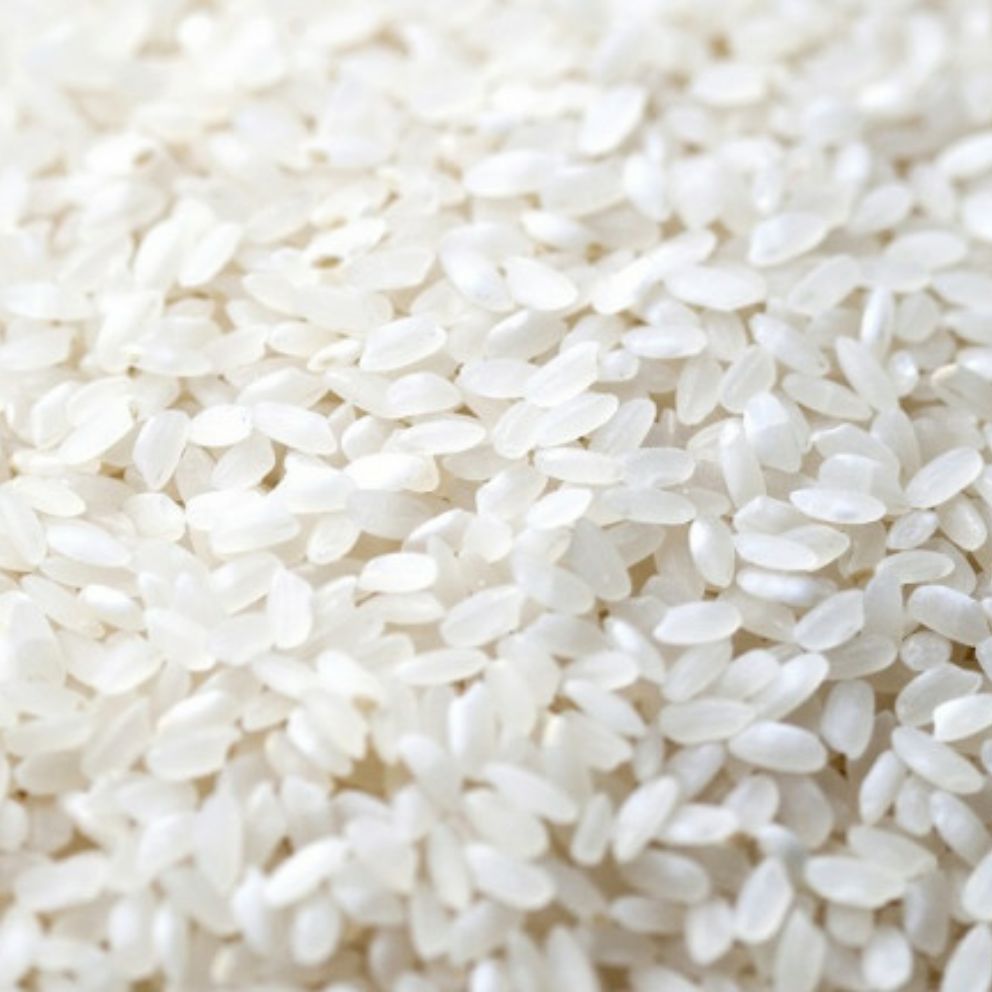 beras solok asli | Lazada Indonesia