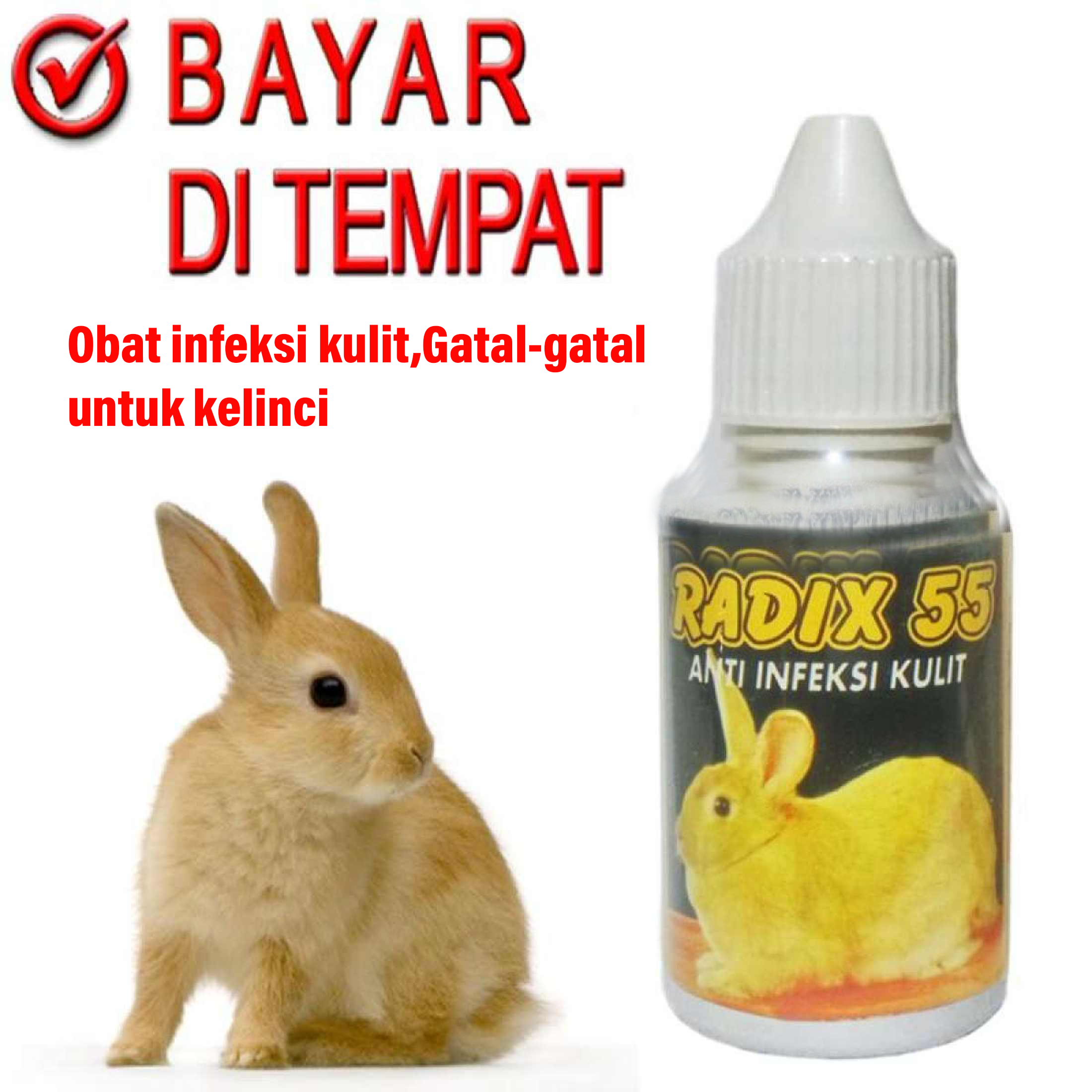 OBAT KELINCI ANTI INFEKSI KULIT SCABIES GATAL KUDIS AMPUH 30ML-Radix 55 ...
