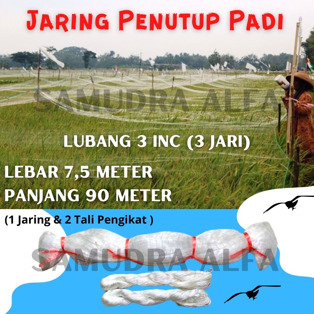 JARING PADI / JARING PENUTUP SAWAH / JARING EMPRIT / JARING PIPIT ...