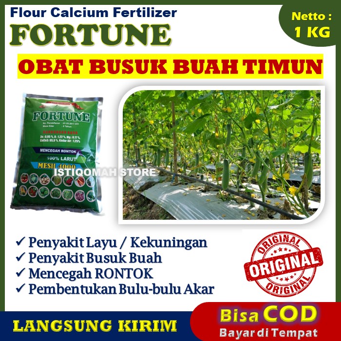 Pupuk Kalsium FORTUNE 1 KG Obat Busuk Buah Timun Yang Bagus - Obat ...
