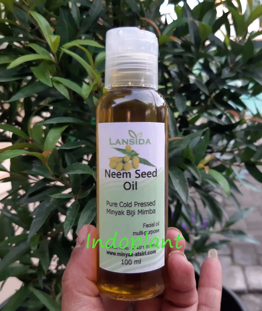 Neem Seed Oil 100 ml - Minyak Biji Mimba Organik 100% Minyak Nimba ...