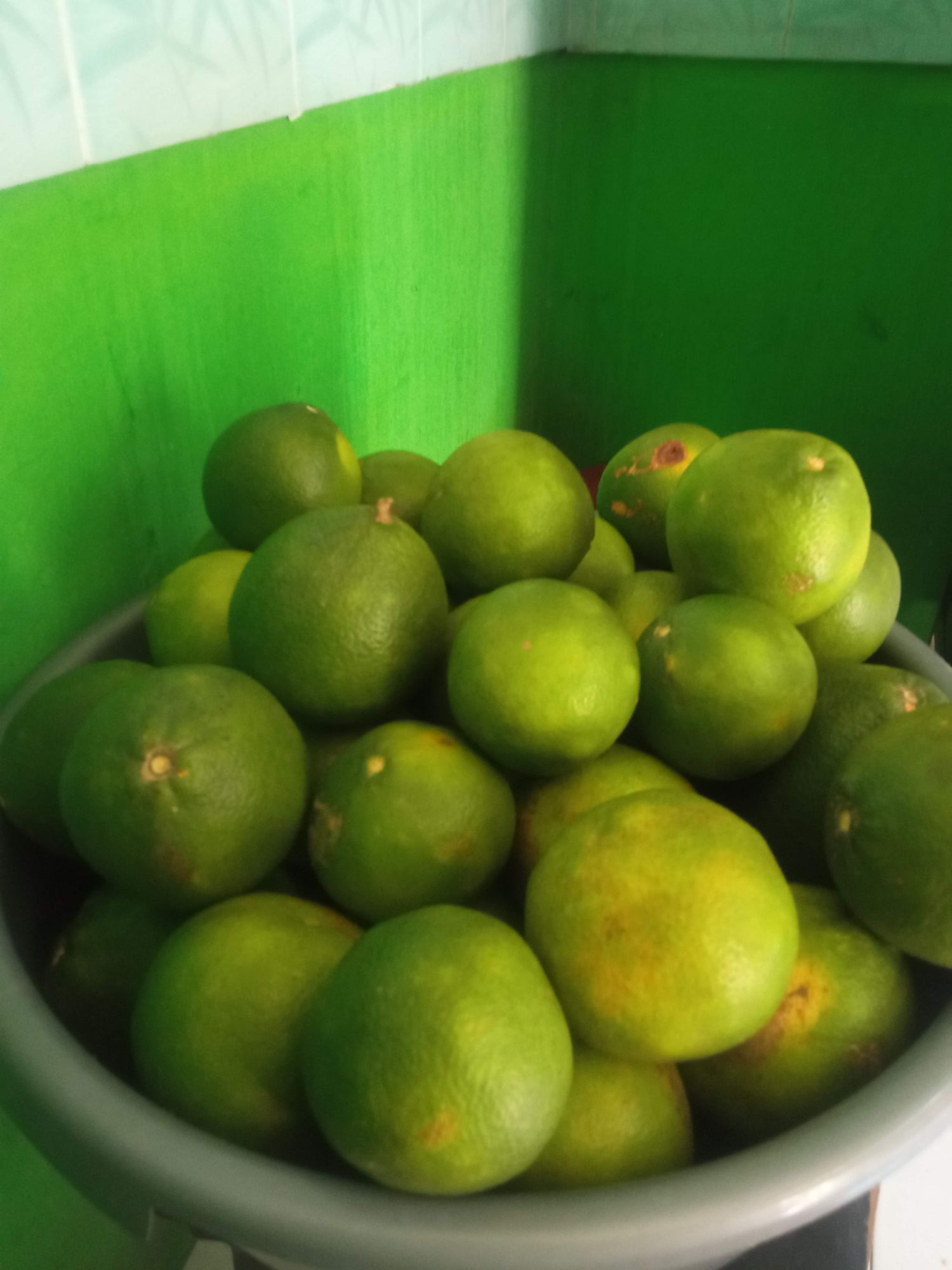 jeruk baby/ jeruk baby java/ buah jeruk/ jeruk baby murah/ buah segar ...