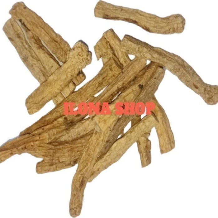 TONGSEM 100GR/DANG SHEN/TONGSHEM/TONG SIM PREMIUM/CODONOPSIS ROOT ...