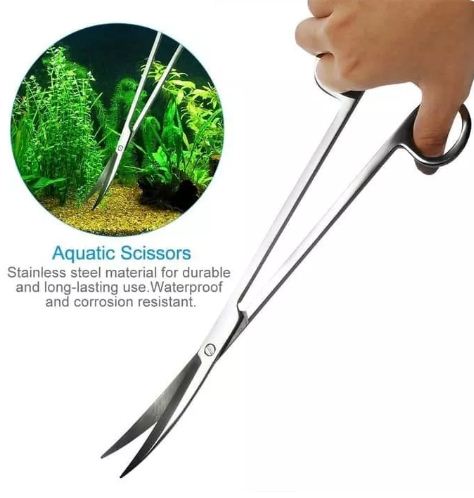 Aquascape scissor / Gunting bengkok panjang | Lazada Indonesia