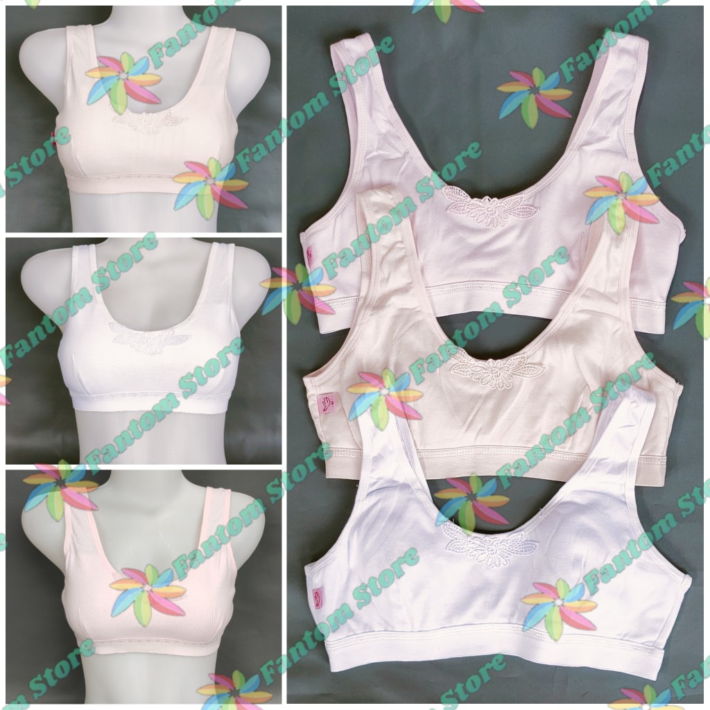 GOLDEN NICK 377 - BRA BH REMAJA DENGAN KAIT | Lazada Indonesia