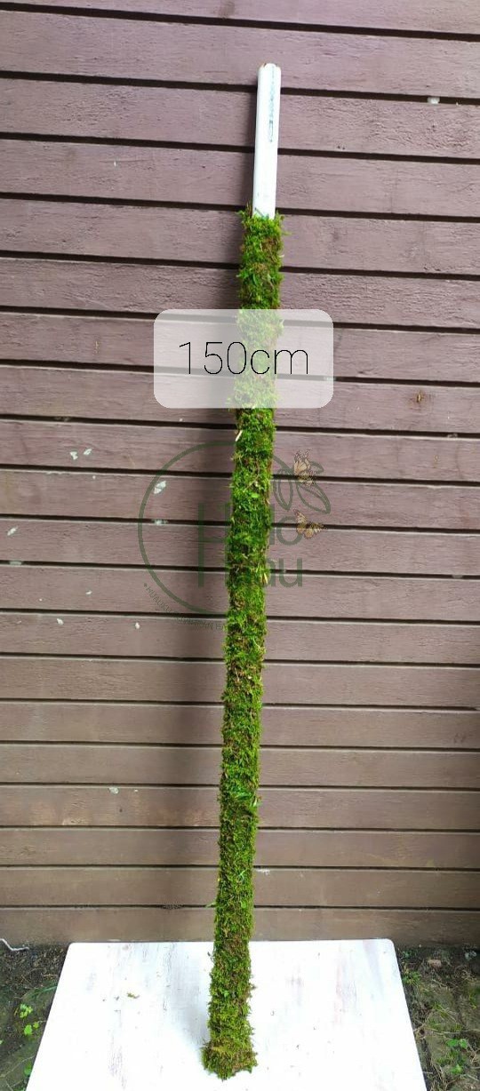 Turus Lumut Pipa Non Kawat / Media Tanam Lumut Penyangga Tanaman Vol 2 ...