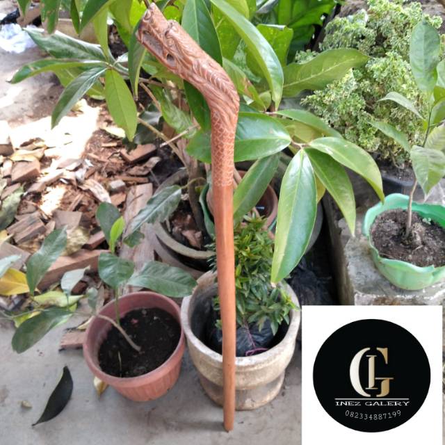 Tongkat jalan kayu stigi model kepala naga ZI 214 | Lazada Indonesia