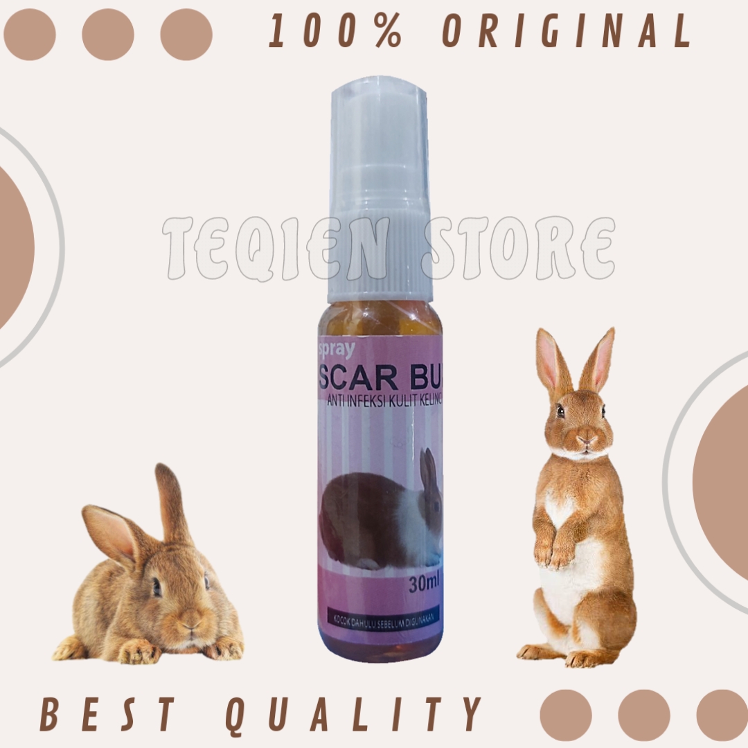 Obat Jamur Kelinci Scabies Infeksi Kulit Kelinci Scar Bun Spray ...