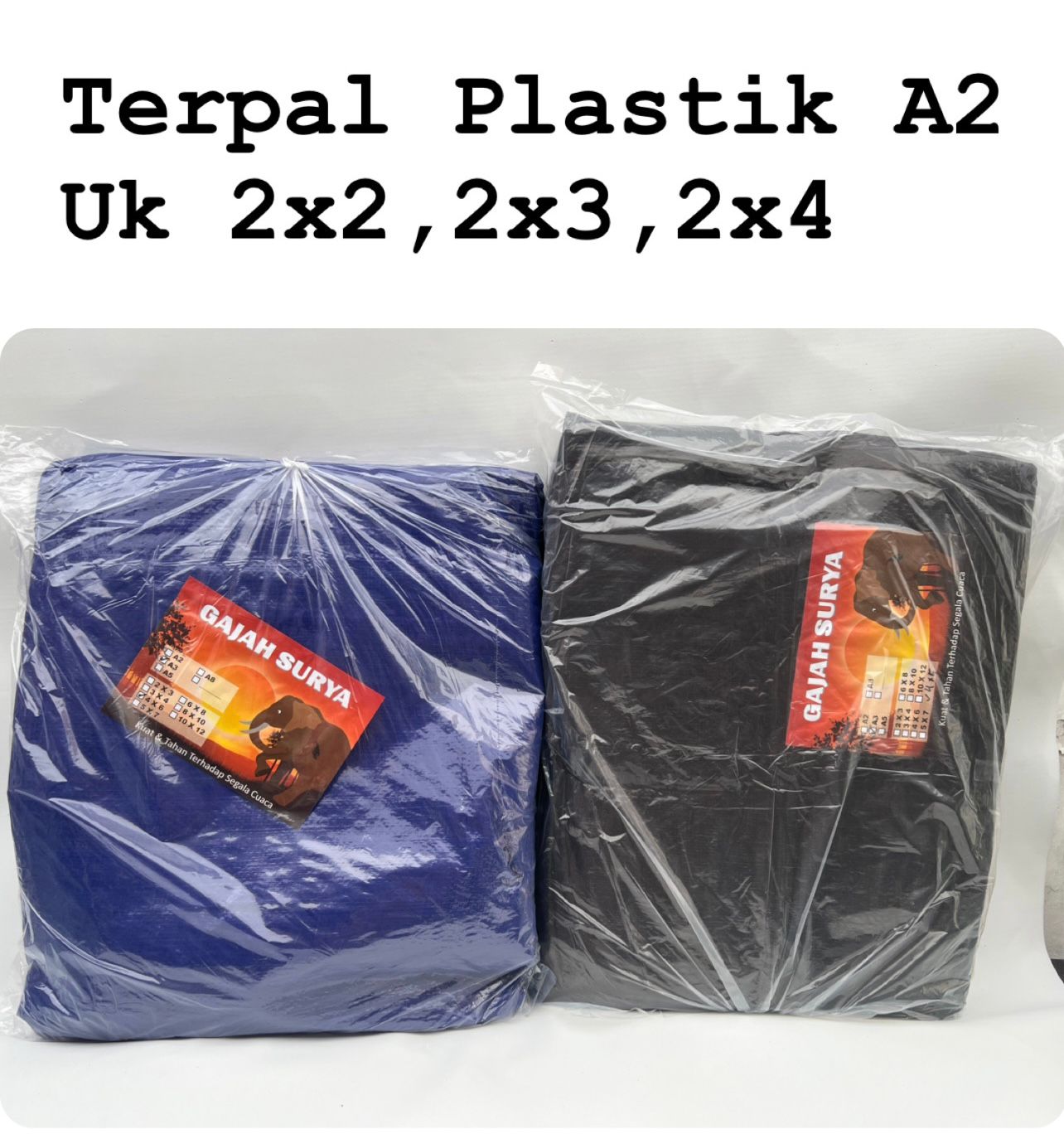 Terpal Plastik A2 uk 2x2 , 2x3 , 2x4 | Lazada Indonesia