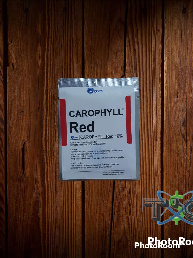 carophyll red 5gram PEWARNA IKAN | Lazada Indonesia