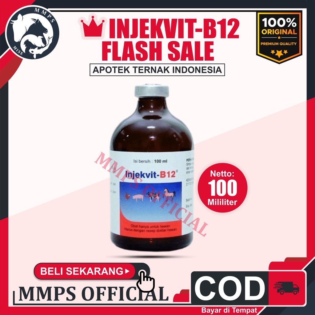 INJEKVIT B12 100 ml MEDION Obat B12 Untuk Perbaiki Kondisi Tubuh Anemia ...