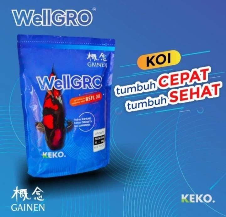 WellGRO WellRED Pakan ikan koi Original Packaging 2kg KEKO GainenFloat ...