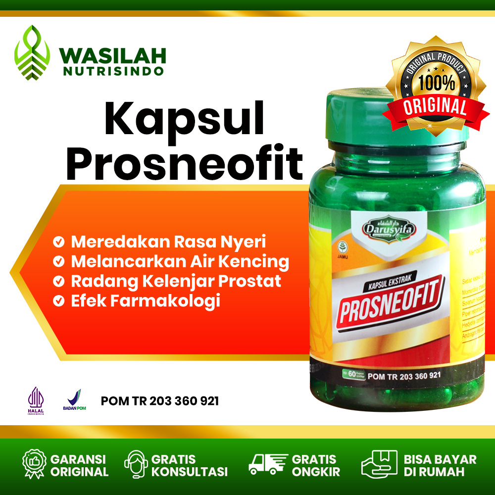 ORIGINAL KAPSUL PROSNEOFIT Mengatasi Gangguan Pembengkakan Prostat Obat ...