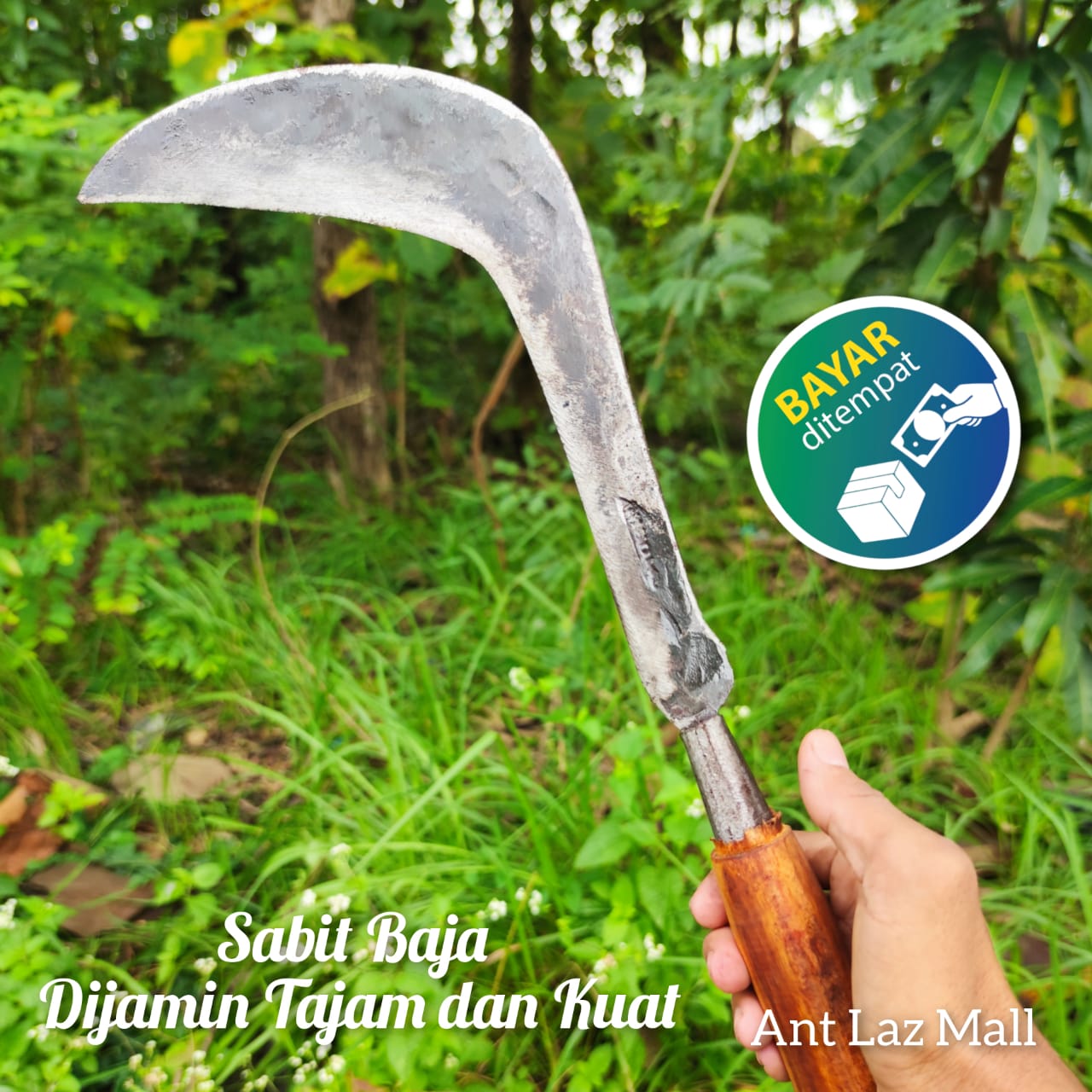 Sabit jawa Tradisional- Sabit pengaritan/arit babat rumput liar - sabit ...