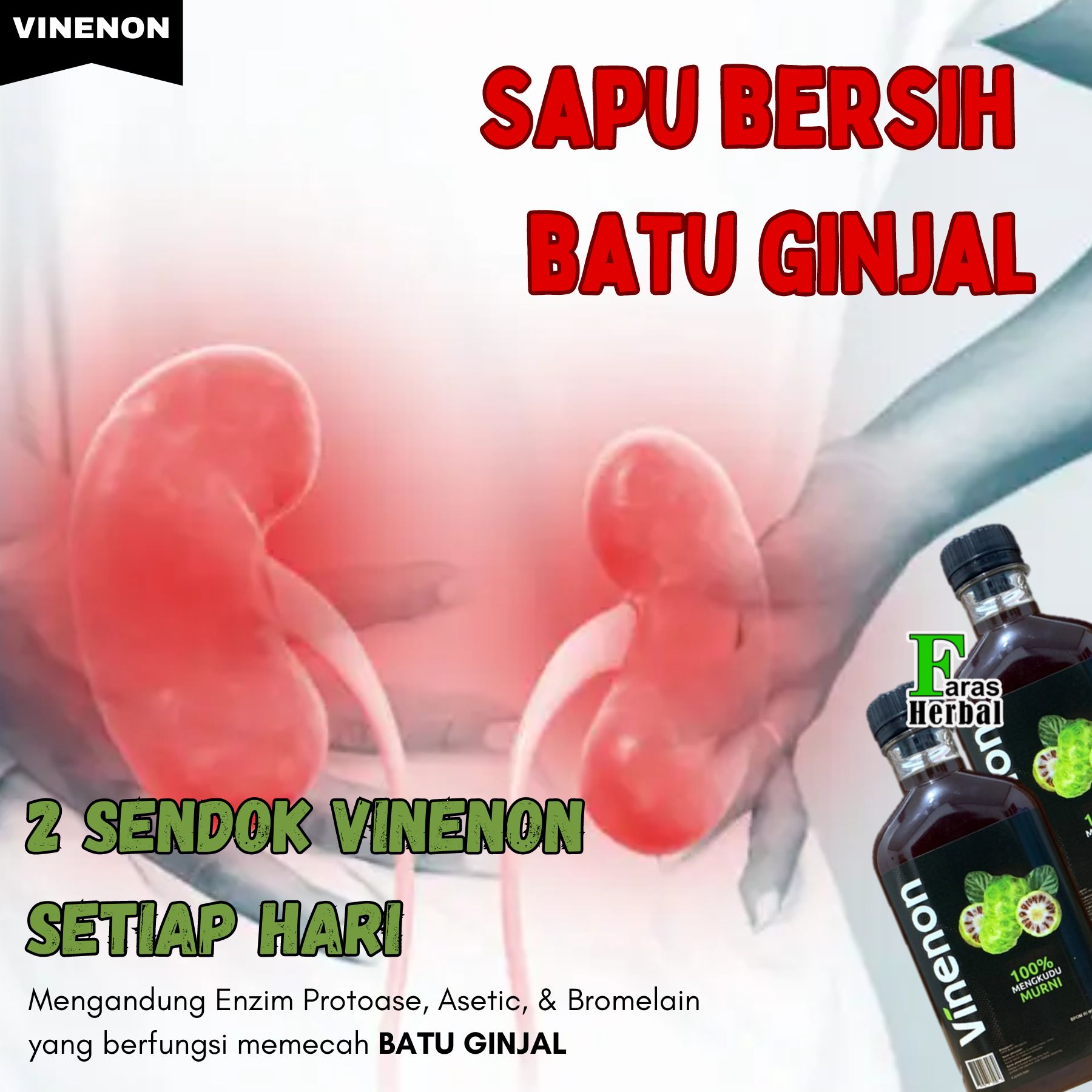 VINENON Cuka Mengkudu (300 ml) Terbuat Dari Mengkudu 100% Asli BPOM ...