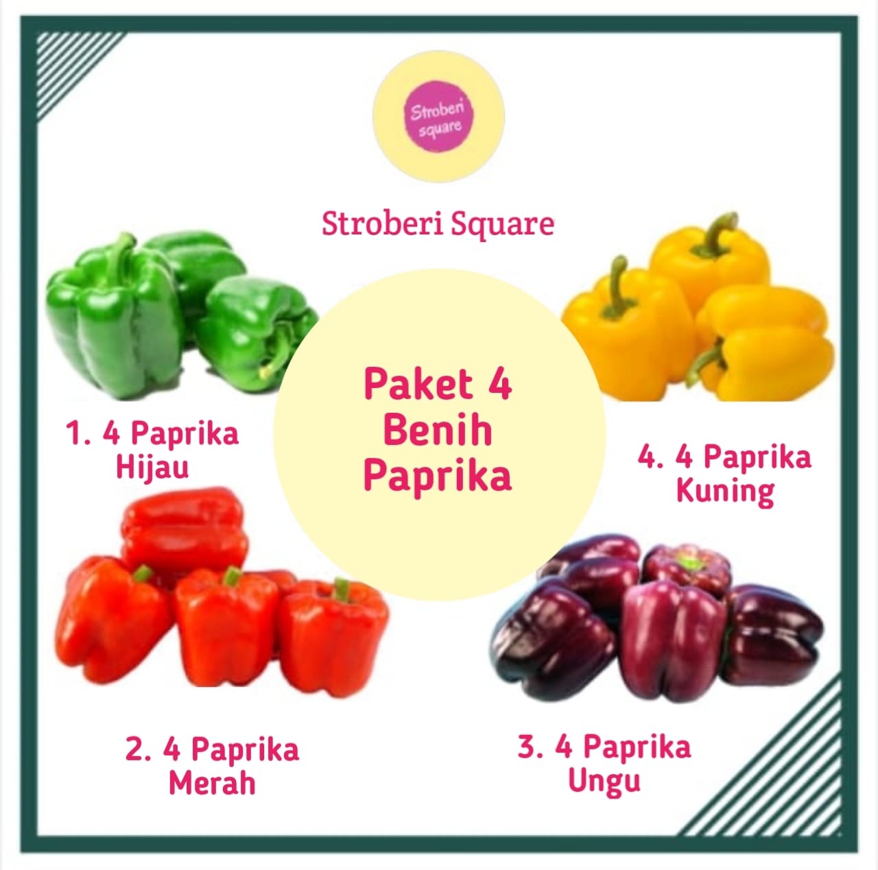 Paket 4 Macam Benih Paprika Isi 16 Biji Sayuran Merah Hijau Kuning Ungu ...