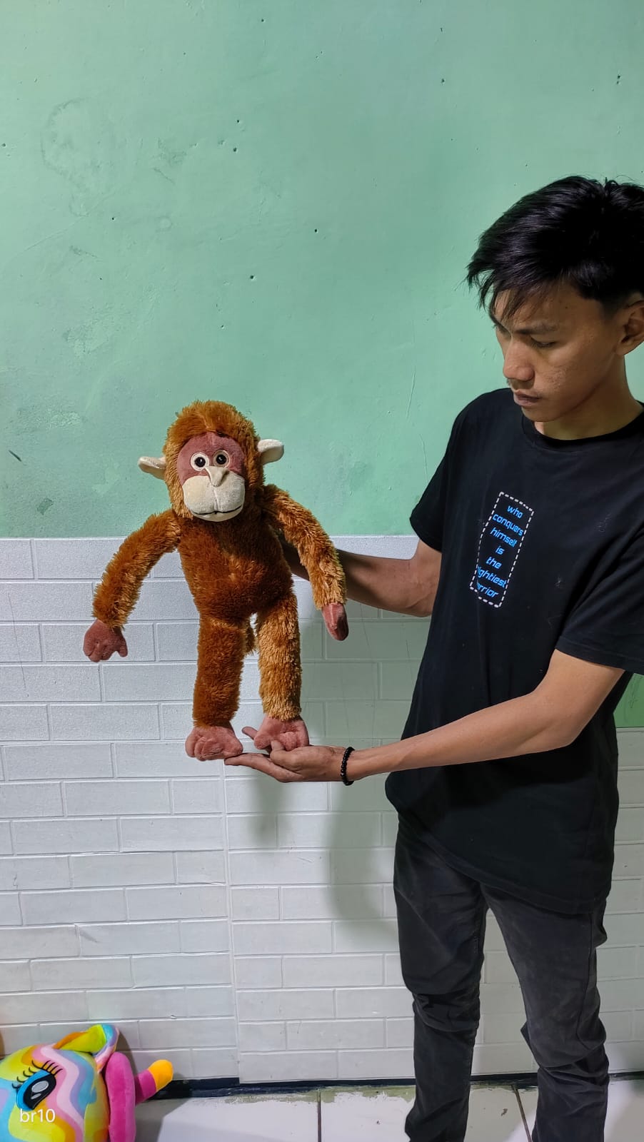 IKEA DJUNGELSKOG - Boneka Monyet / Boneka Orangutan | Lazada Indonesia