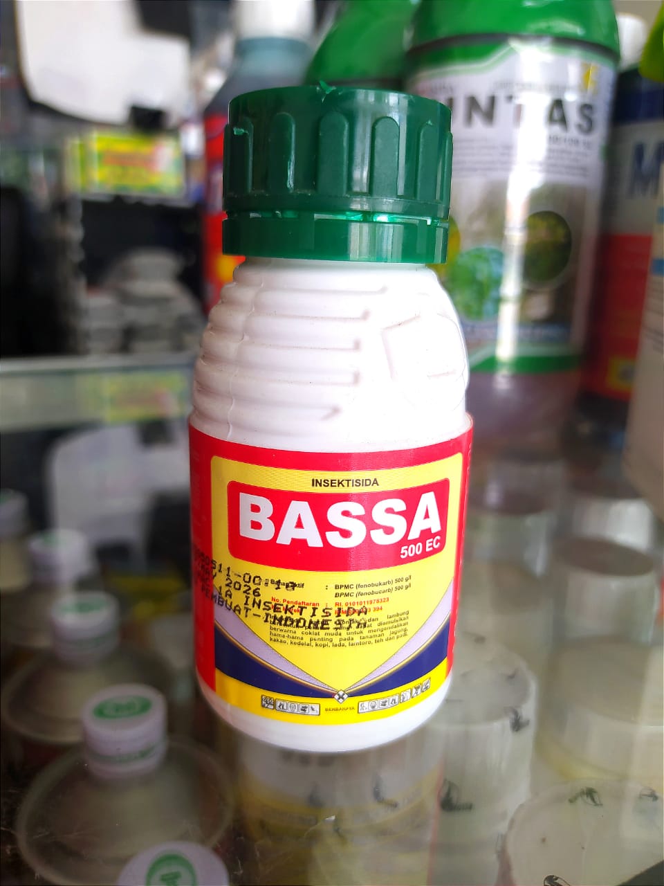 Obat Kutu dan Parasit Ikan Koi - Bassa Insektisida Basmi Kutu Tanaman ...