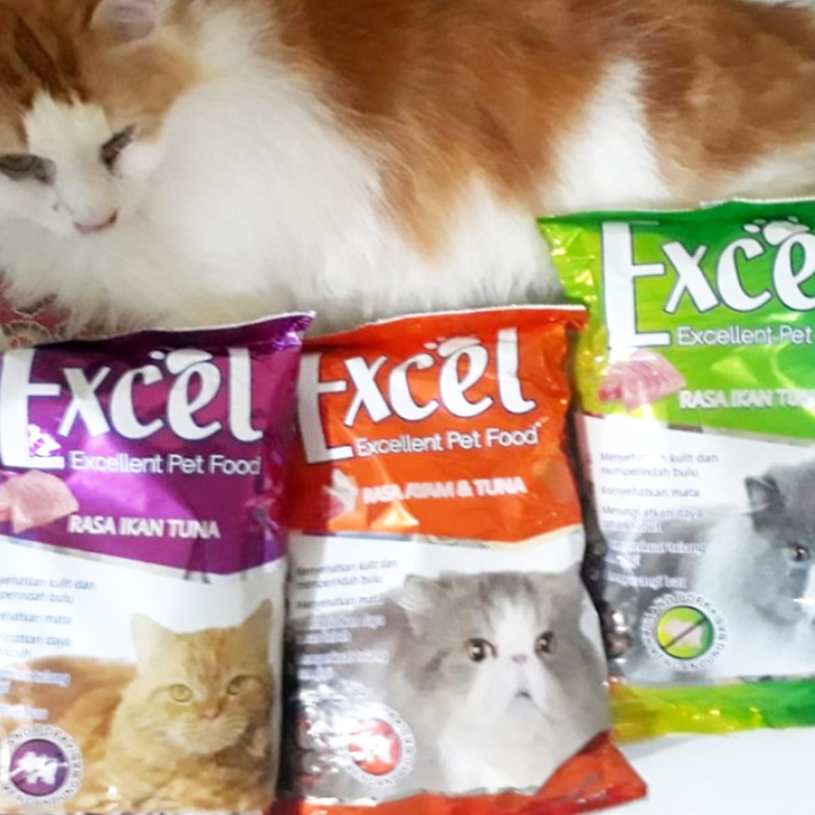 Excel cat food makanan kucing 500 gram makan kering kucing | Lazada ...
