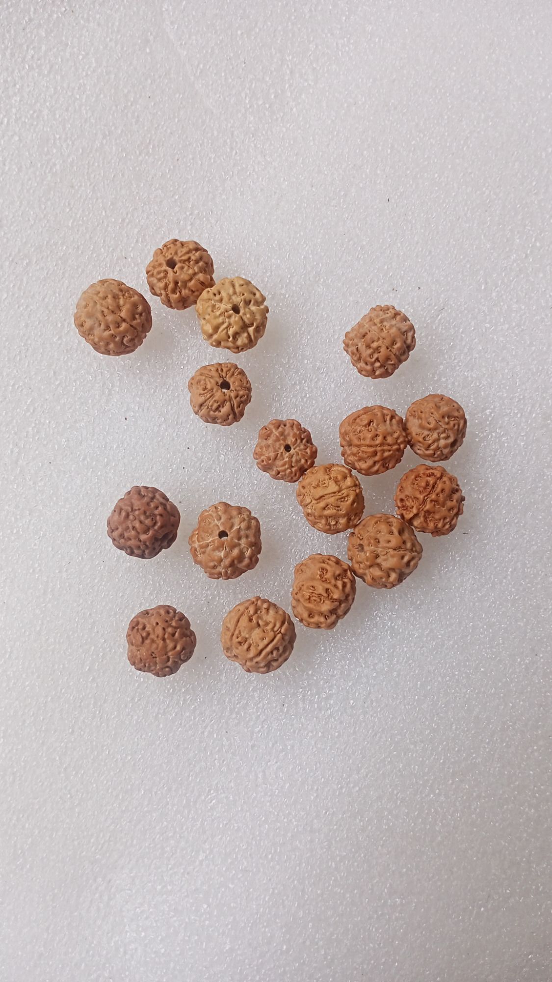 Biji jenitri asli | Lazada Indonesia