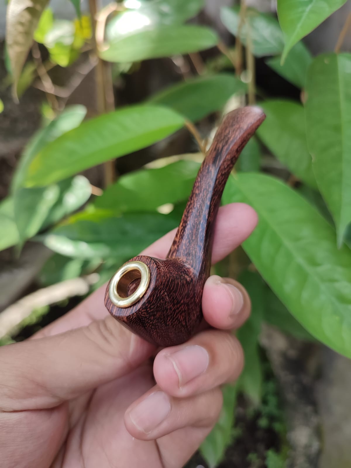 Pipa rokok cangklong mini full galih asem pipa once padudan paling enak ...