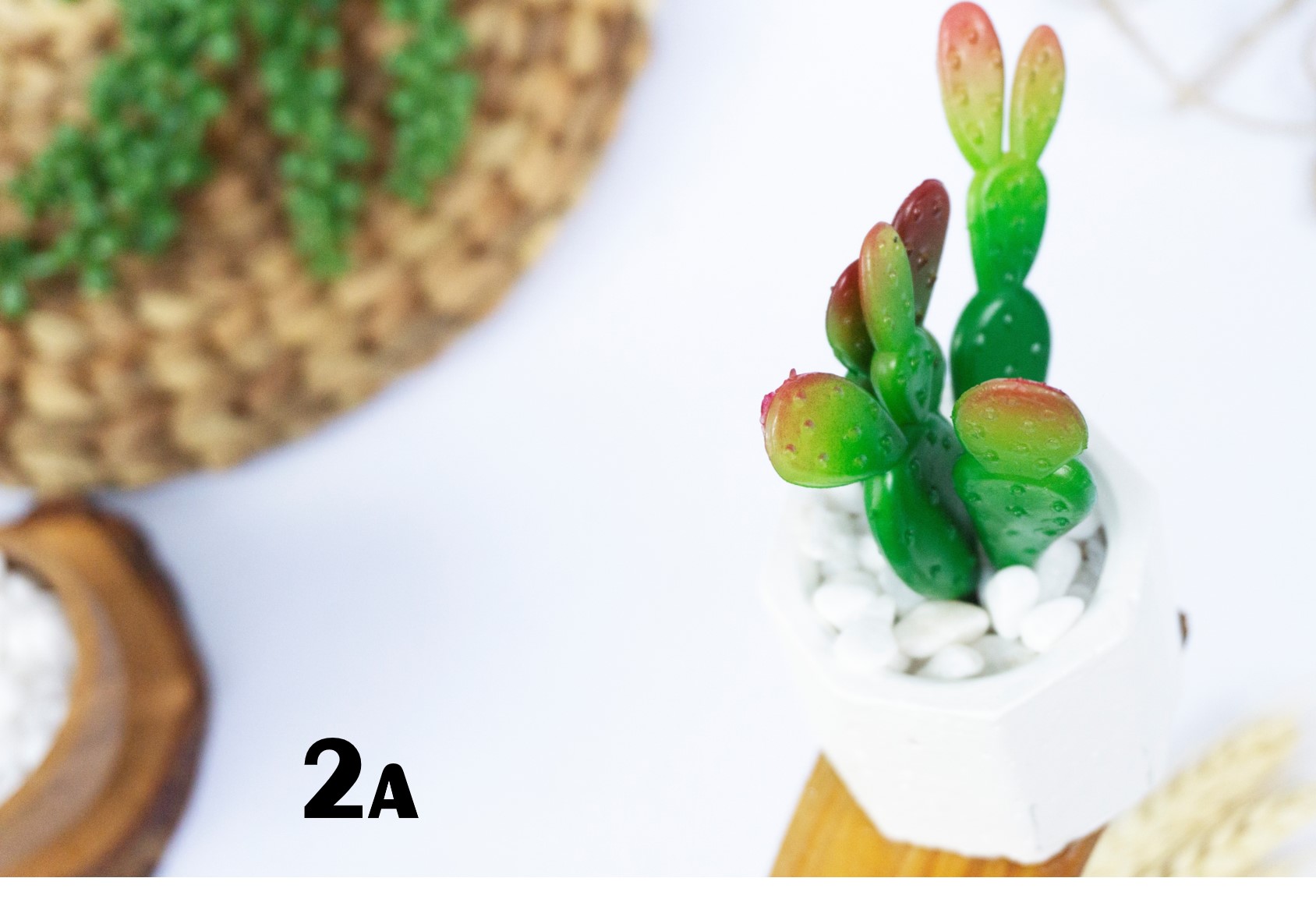 Bunga Kaktus mini cantik bunga artifisial Sukulen lengkap dengan vas ...