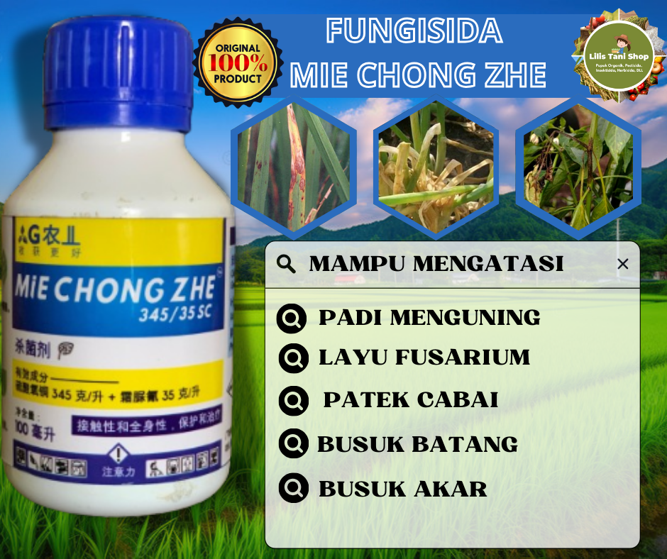 Mie Chong Zhe Fungisida Spesialis Atasi Layu Fusarium Padi Menguning ...
