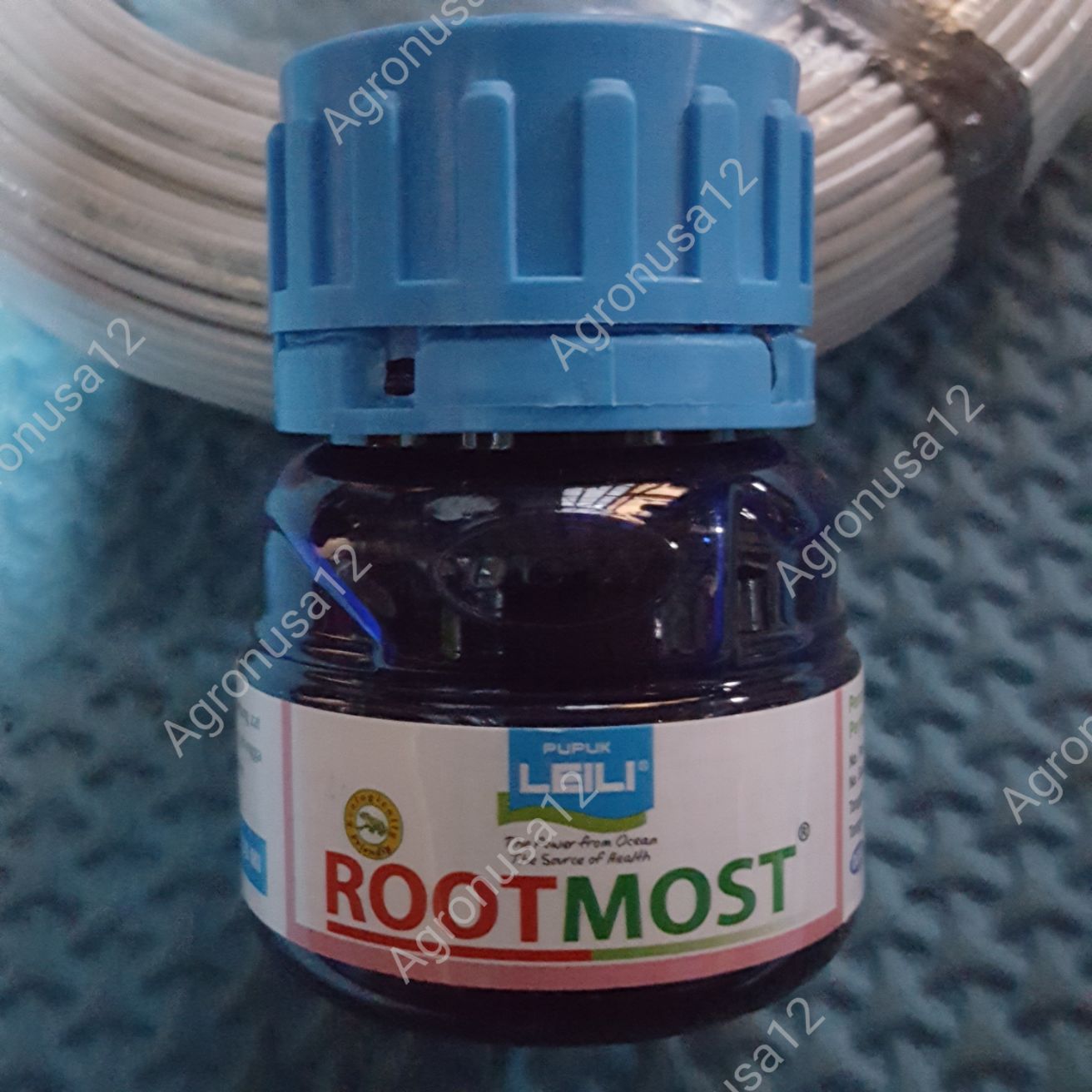 ROOTMOST 100ML Hormon Percepat Pertumbuhan Akar Stek Batang | Lazada Indonesia