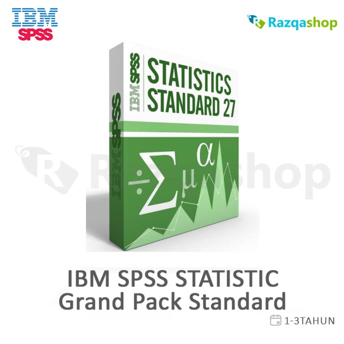 IBM SPSS Statistics Grand Pack Standard Original license (2 computer ...
