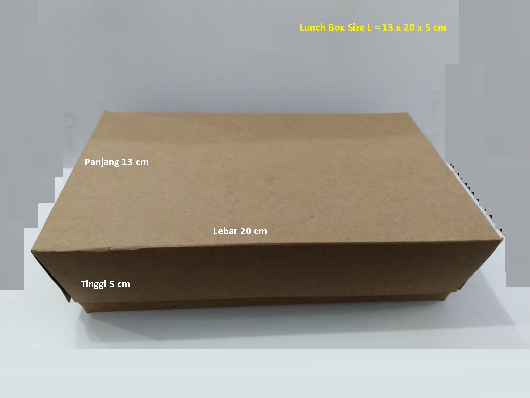 QTY 10 LUNCH BOX KRAFT DUS KEMASAN KOTAK MAKANAN Size L 13 x 20 x 5 cm ...