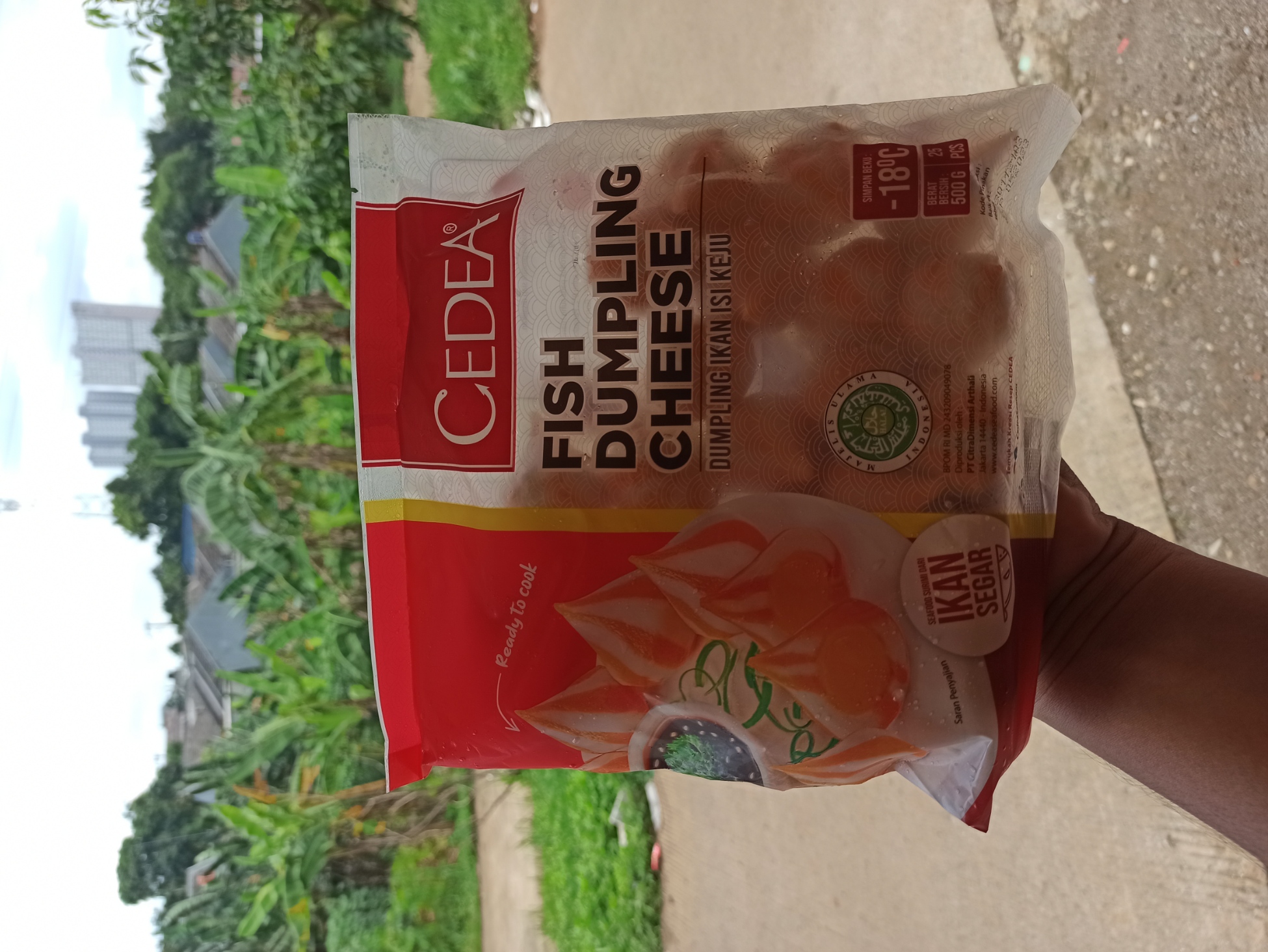 Cedea Dumpling Cheese 500gr/Cedea Dumpling Keju 500gr | Lazada Indonesia