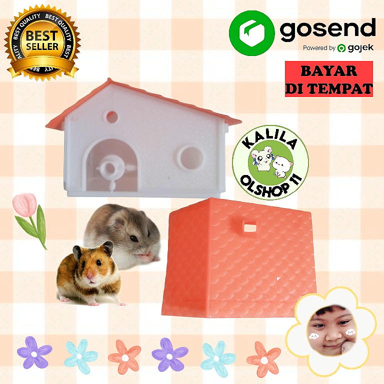 Rumah Hamster RUMAH LIPAT-Sugar Glider Type KPR murah | Lazada Indonesia